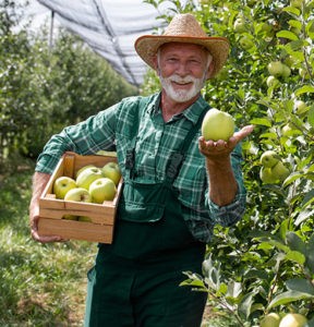 Fruitico, Lebensmittellieferung, Rhein-Sieg-Kreis, Obst